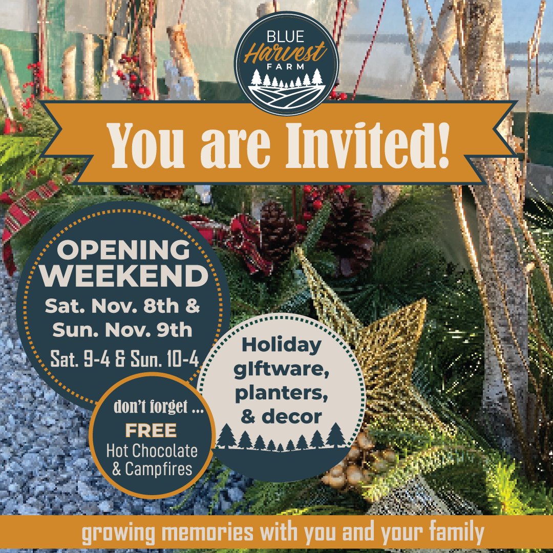 Blue Harvest Farm – Fresh Cut Christmas Trees & Decor